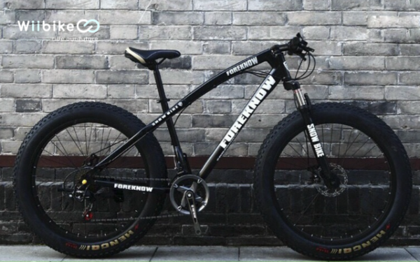 [Tư vấn] Chọn mua xe đạp bánh béo - TOP 5 model cực chất lượng